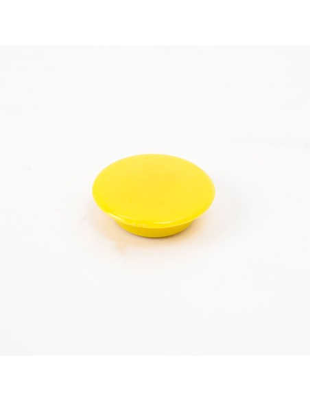 Calamite colorate per lavagne magnetiche 10 pz